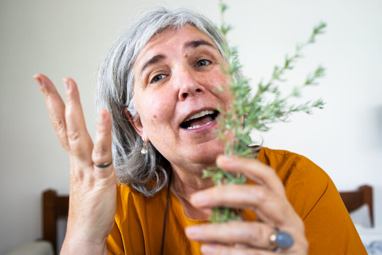 Greater Cape indigenous foods back on the map with groundbreaking ...