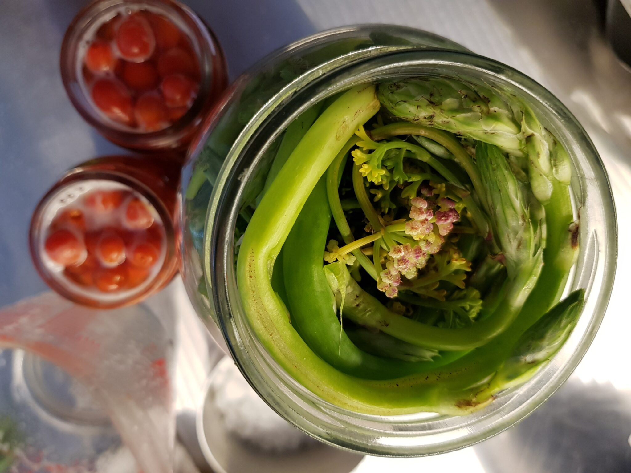 Greater Cape indigenous foods back on the map with groundbreaking ...