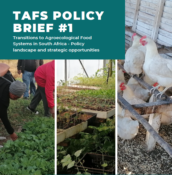 TAFS Policy Brief 1: Transitions to Agroecological Food Systems in ...