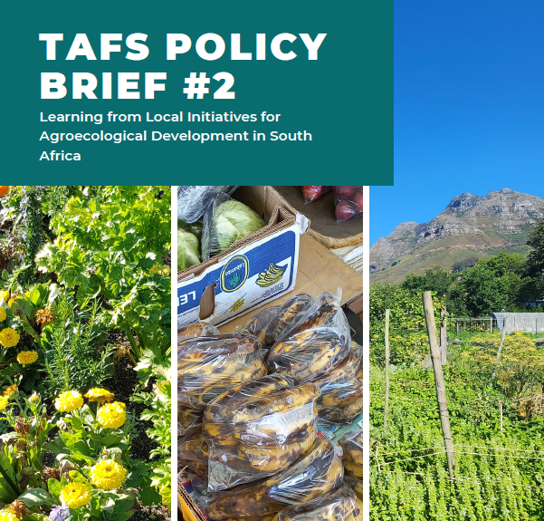 TAFS Policy Brief 2: Learning from Local Initiatives for Agroecological ...