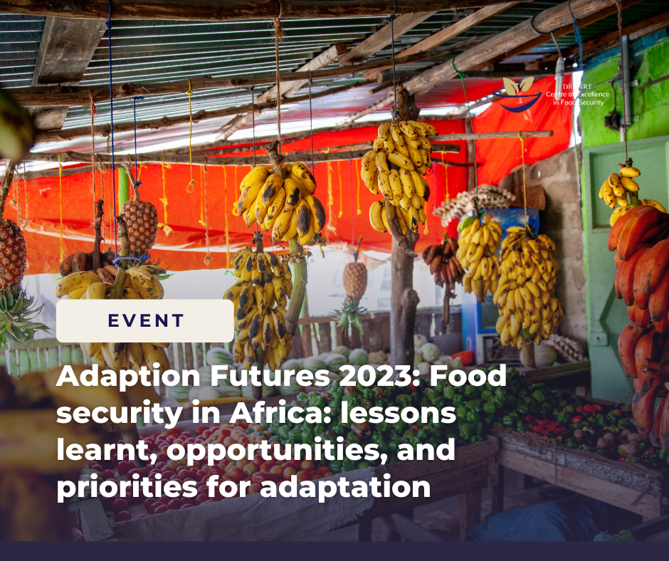 Adaption Futures 2023: Food security in Africa: lessons learnt ...