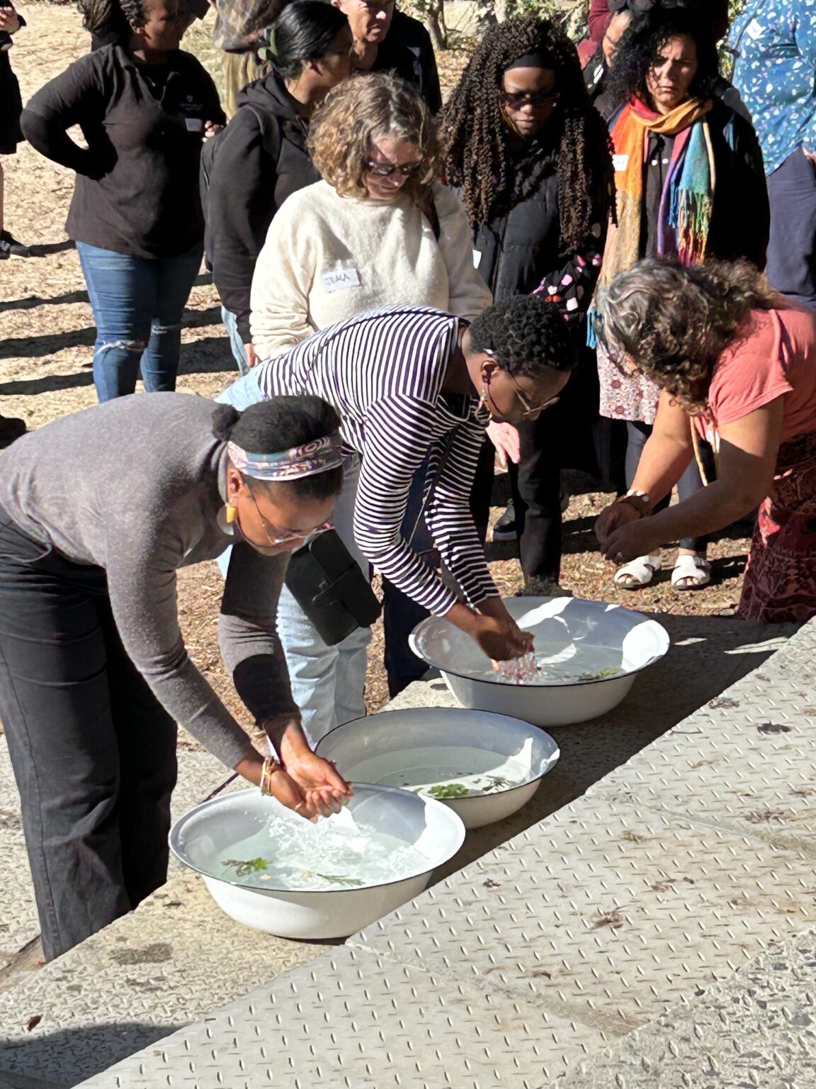 A Community of Practice grapples with the complexities of local wild ...